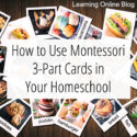 How to Use Montessori 3-Part Cards in Your Homeschool