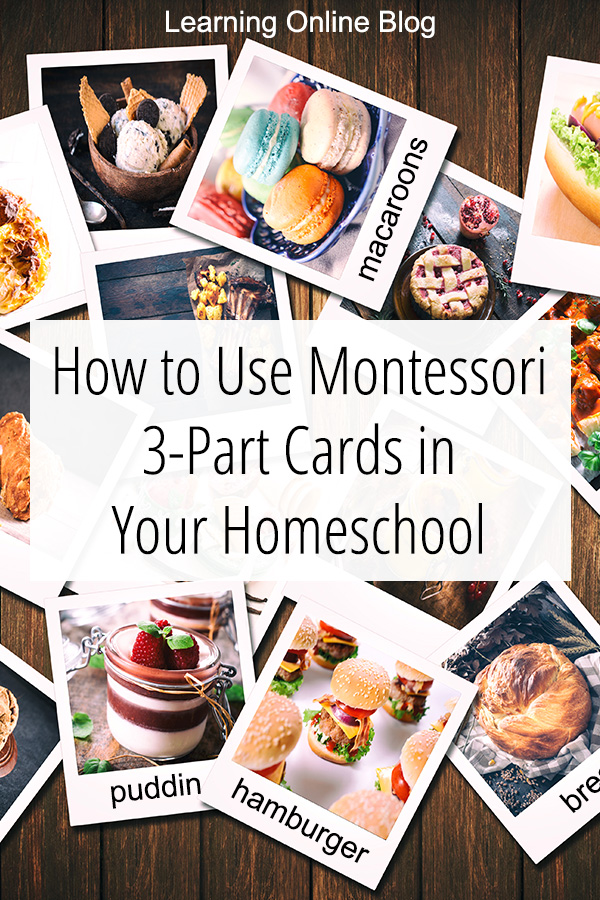 How to Use Montessori 3-Part Cards in Your Homeschool
